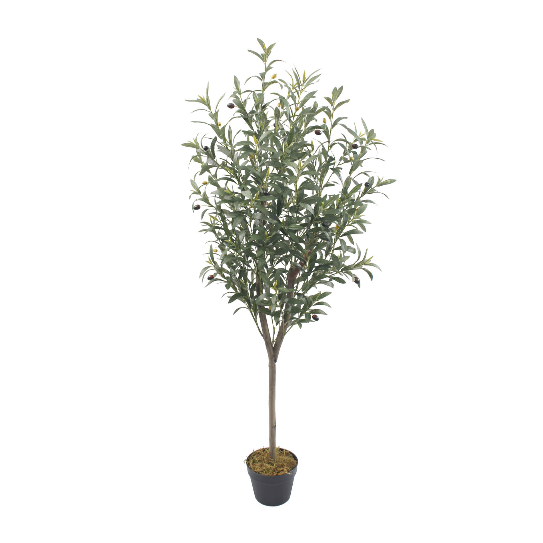 Plante artificielle Olivier Rebecca Mobili Garnet 150x45x45 Polyester ...