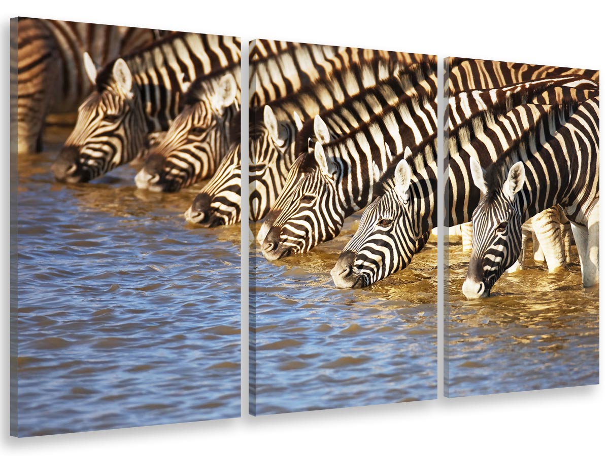 Tableau triptyque deco zebres se desalterant - 90x60 cm | Leroy Merlin