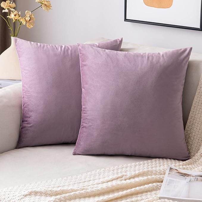 Lot de 2 housses de coussin en velours, super douces et lisses, 50x50 ...