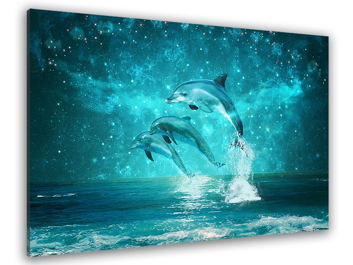 Quadro deco delfini astro - 80x50 cm | Leroy Merlin