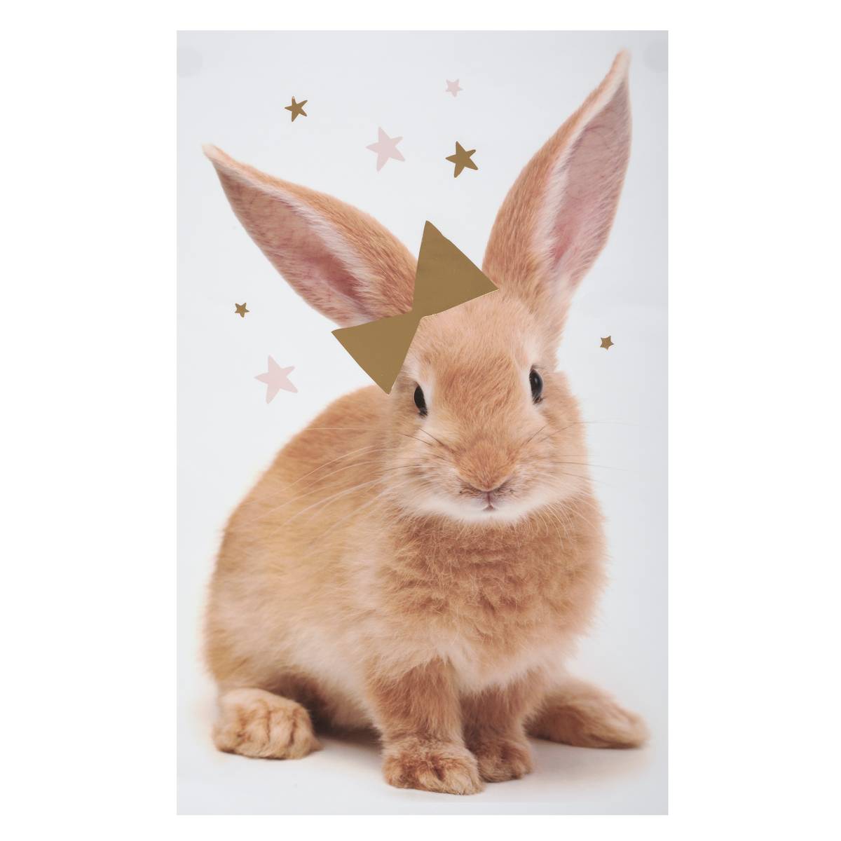 Sticker enfant "Chat et lapin" - 32x50 cm - Atmosphera créateur d ...