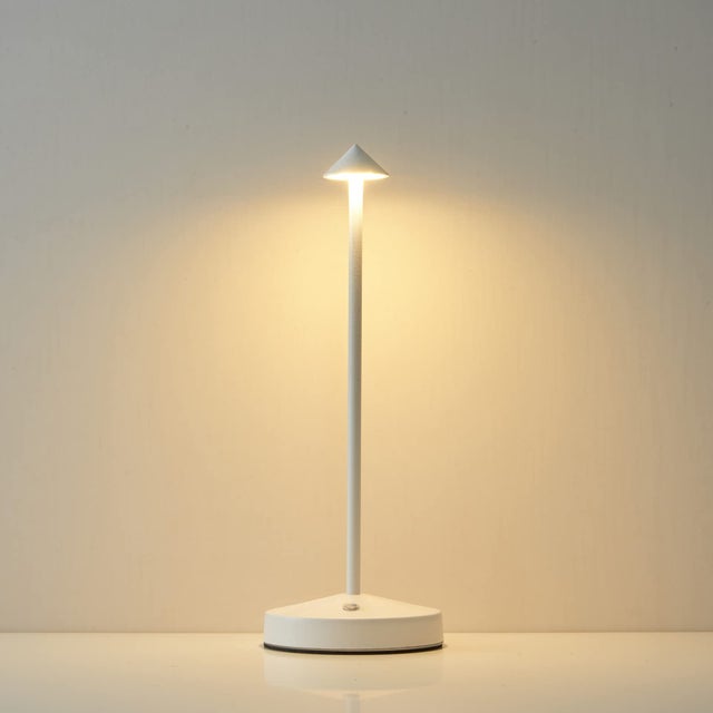 Lampe champignon | Leroy Merlin