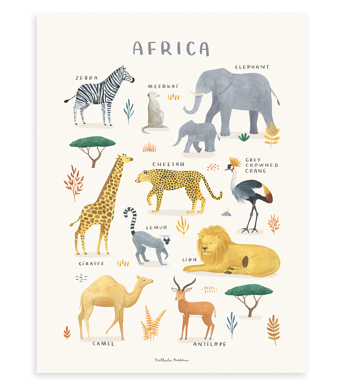 Lamina de animales de África 30x40 cm, Lilipinso | Leroy Merlin