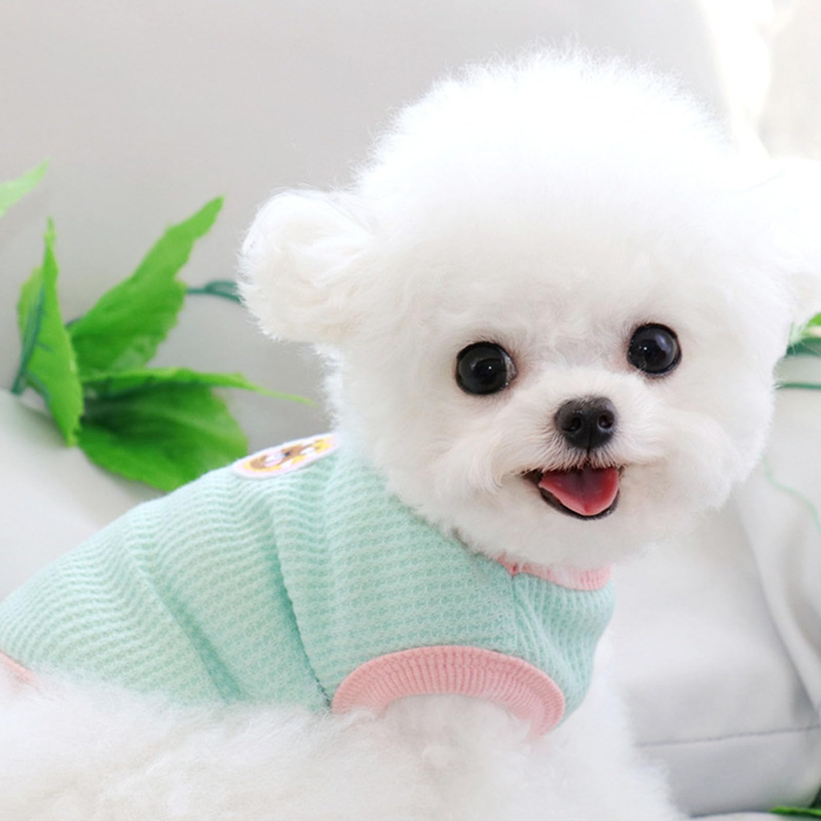 Gilet pour chat à la mode mignon mince respirant confortable empêche la ...