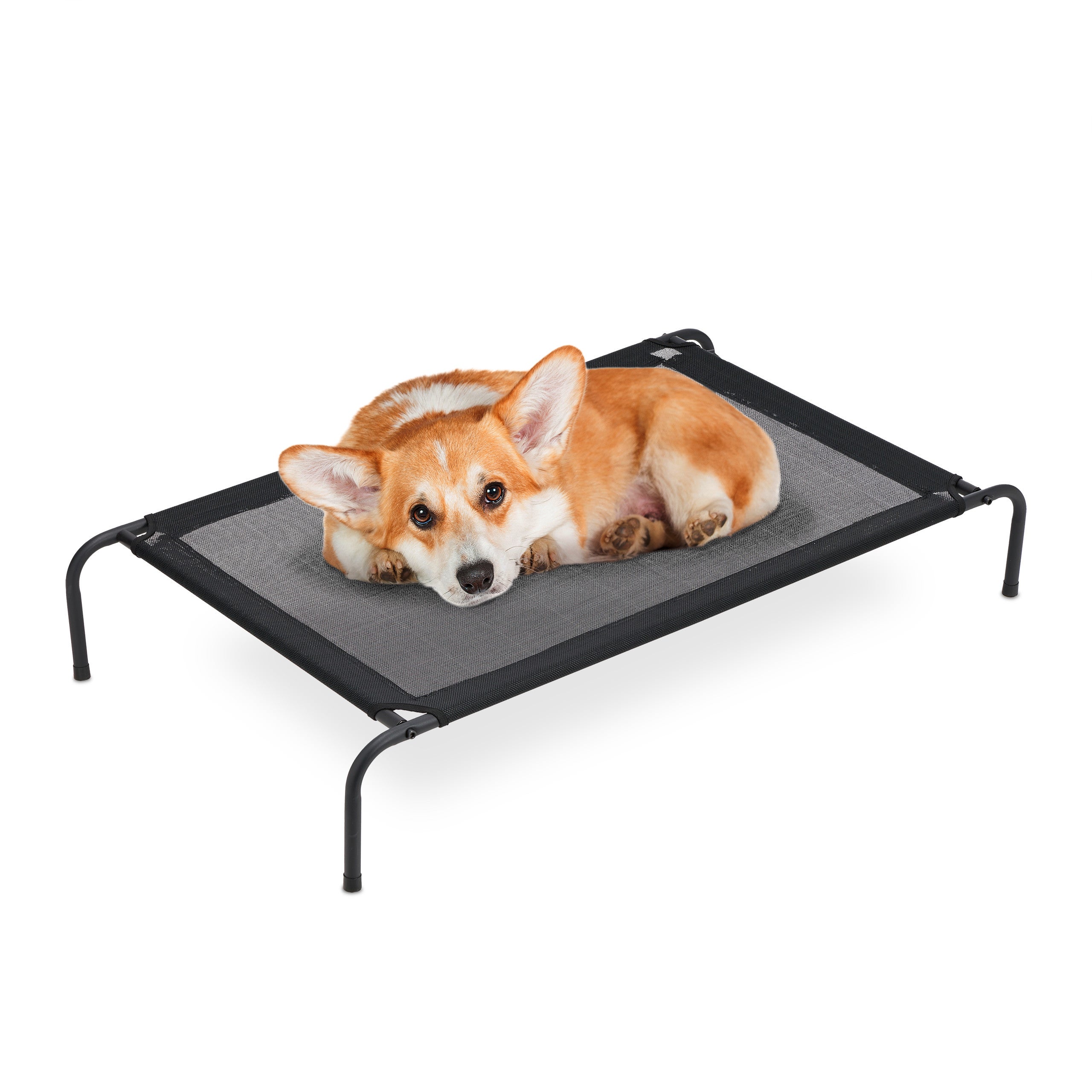Lit surélevé pour chiens, matelas pour chien jusqu’à 35 kg, HLP ...