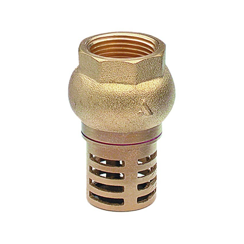 Valvola con succheruola PN10 1"1/2 | Leroy Merlin