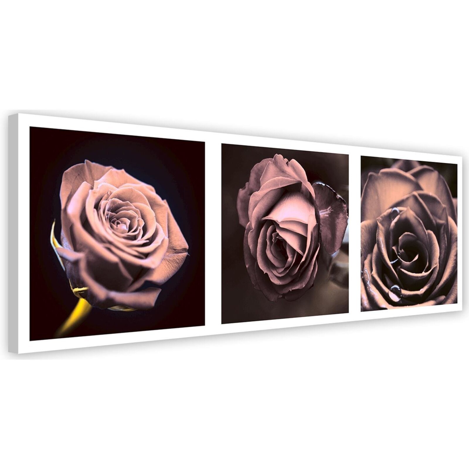 Tableau trio de roses - 120 x 40 cm | Leroy Merlin