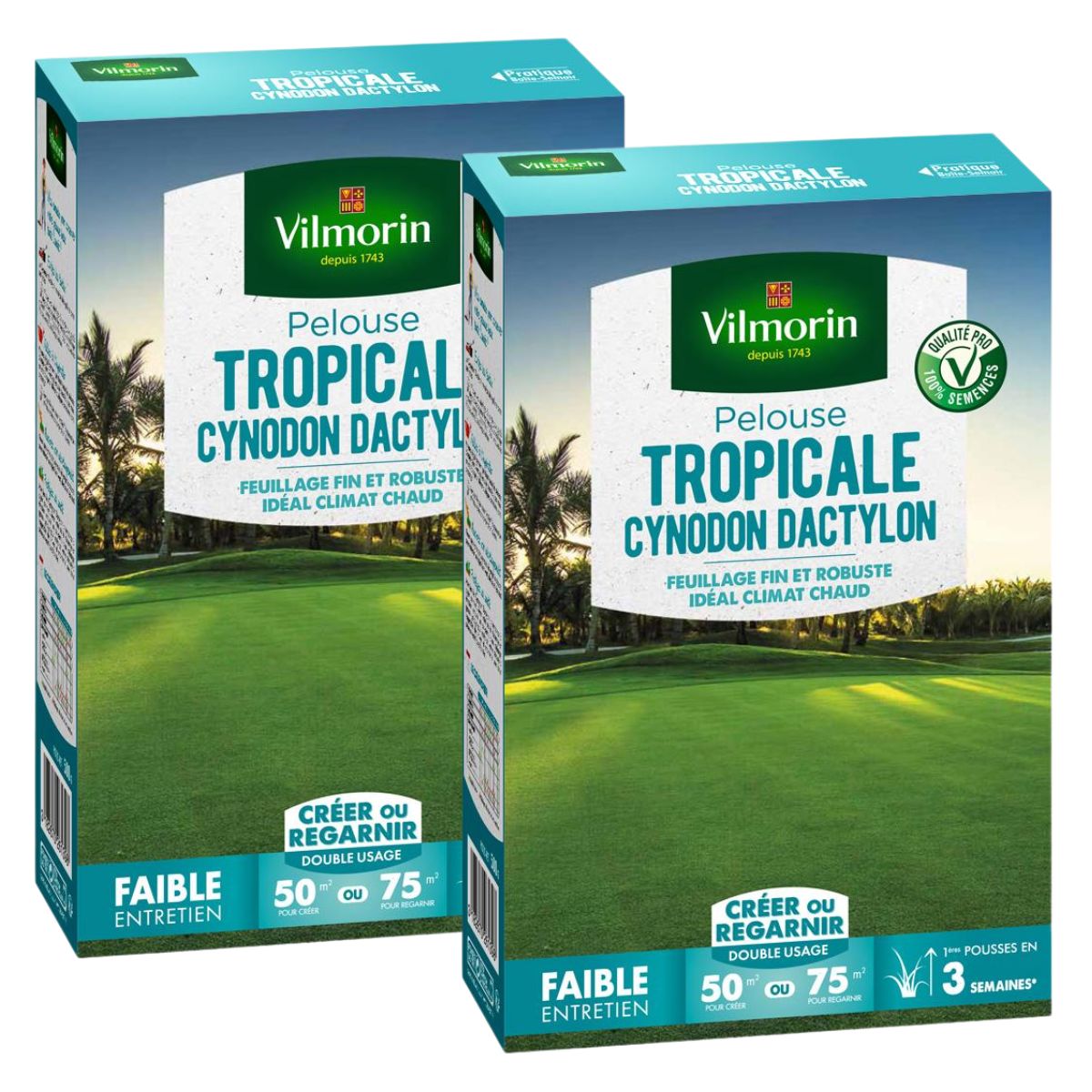 Pelouse Tropicale - Cynodon Dactylon - 500 g (x2) | Leroy Merlin