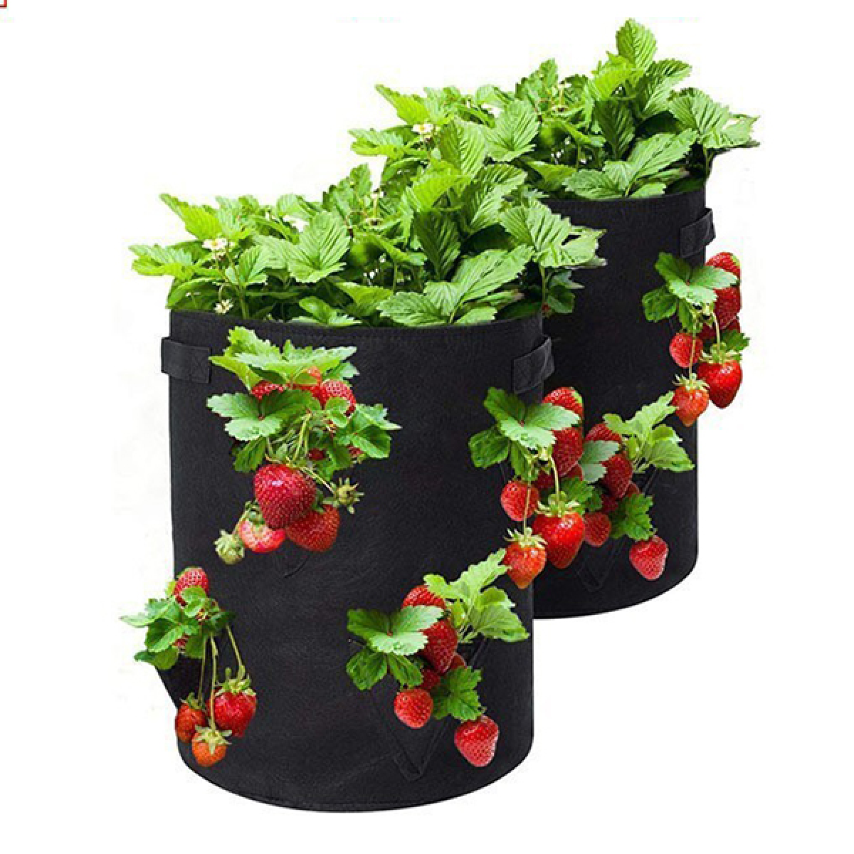 Sac de plantation 40*35 cm, 2 pièces, sac de semis en feutre de 5 ...