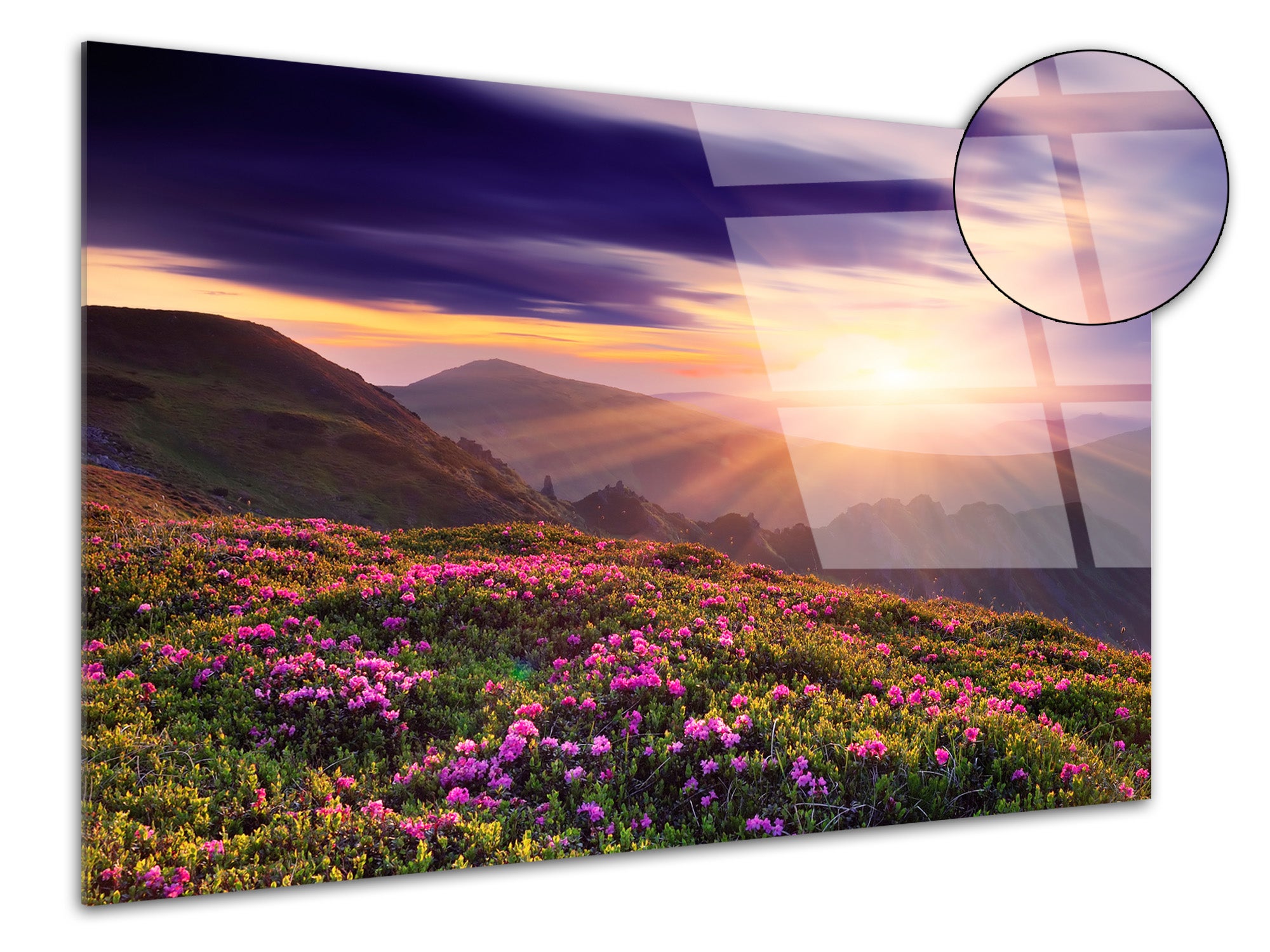 Tableau plexiglas photo paysage MONTAGNE FLEURIE | Leroy Merlin
