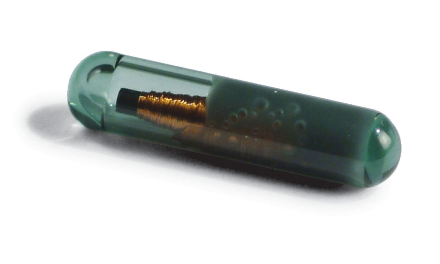 Glass transponder Bulb housed in remote or TSP01 TAG | Leroy Merlin