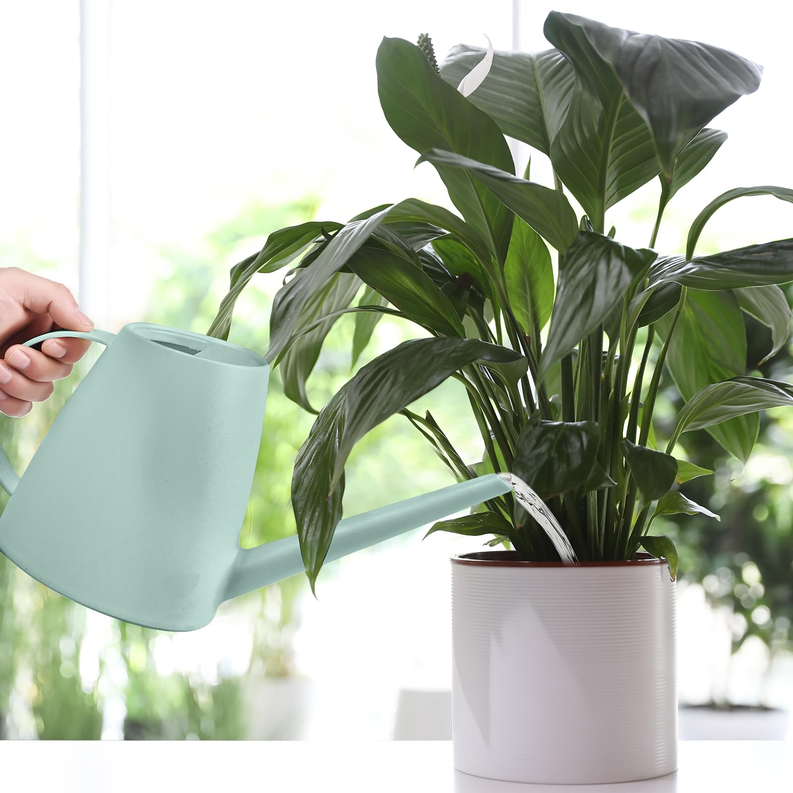 Regadera pequeña con boquilla desmontable, regadera de boquilla larga ...