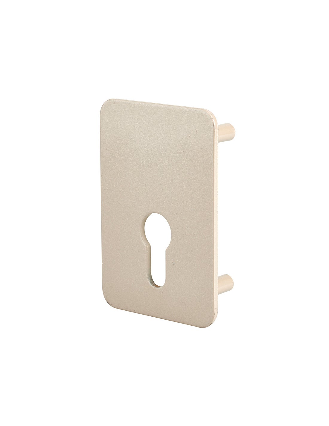 THIRARD - Plaque de renfort pour verrou Capital, fixation par vis ...