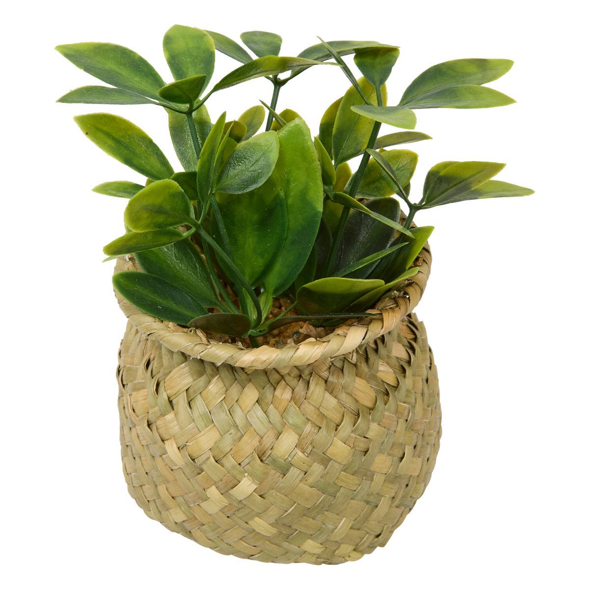 Planta artificial en maceta Jil 10x10cm | Leroy Merlin