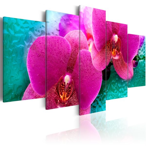 Tableau Fleurs Exotic orchids 100x50 cm | Leroy Merlin