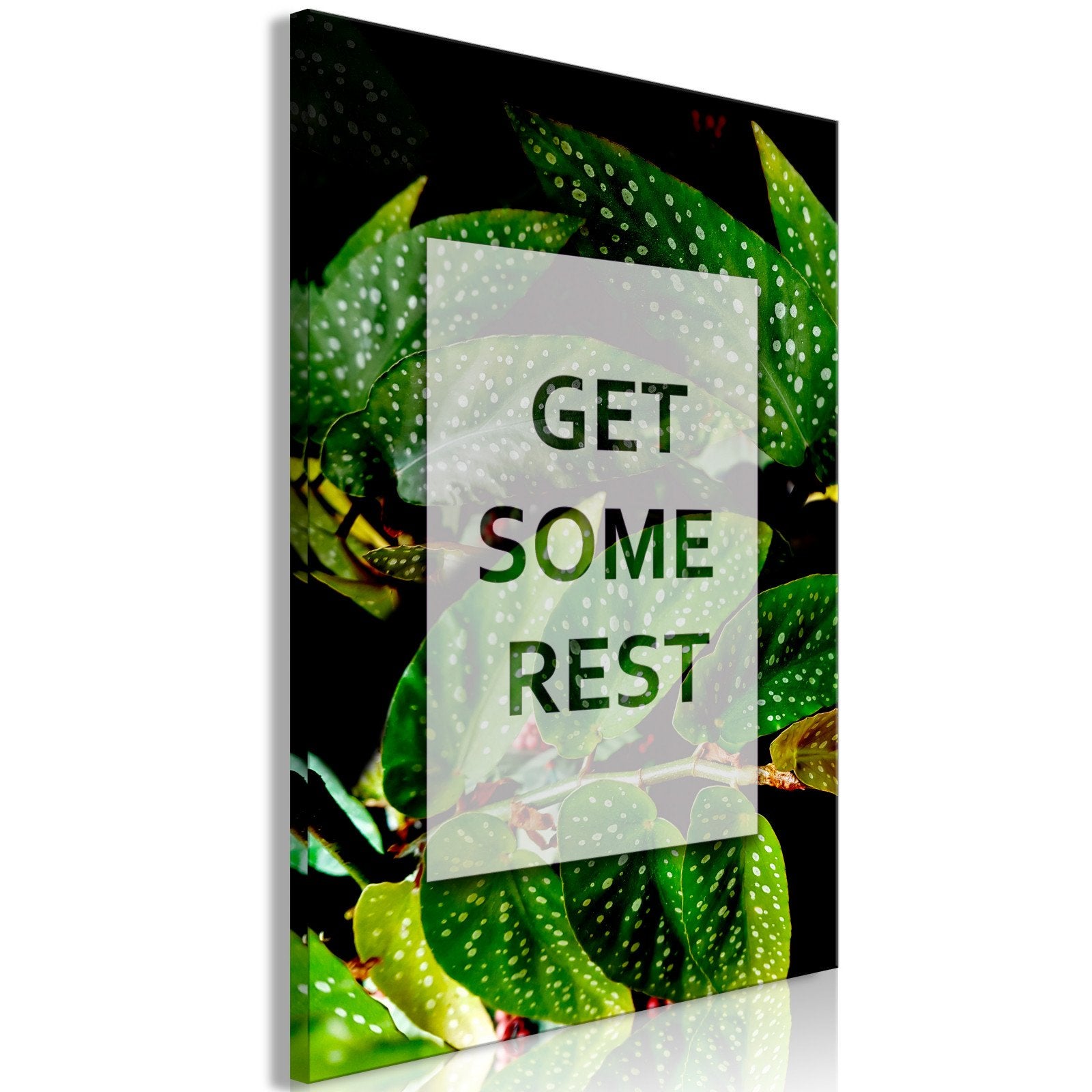 Tableau Get Some Rest Vertical - 60 x 90 cm | Leroy Merlin