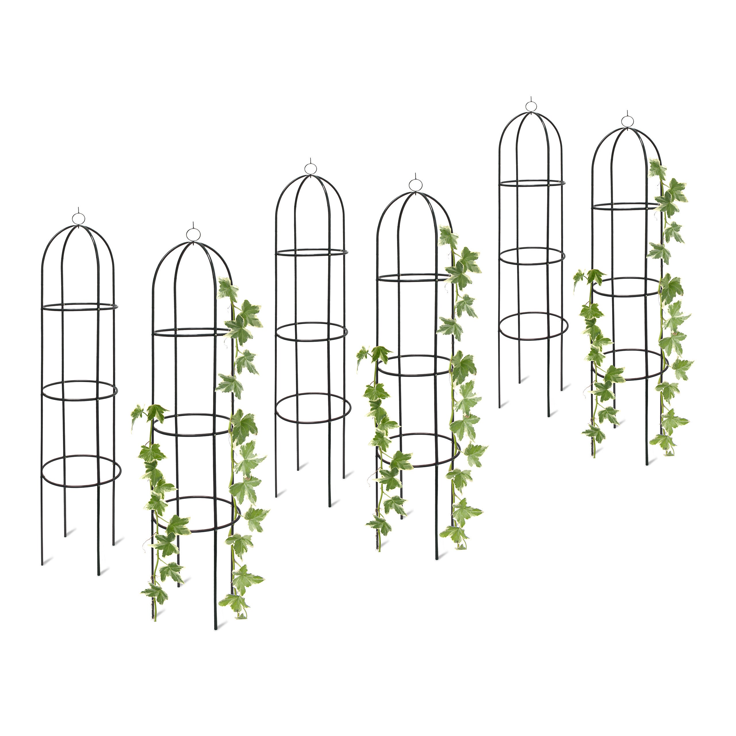 6 Soportes Plantas Revestimiento Metal 190 cm, Guía Rosas Resistente ...