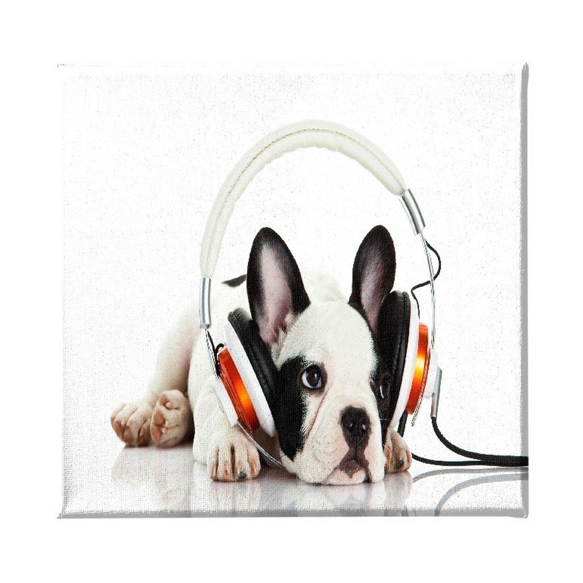 Impression sur Toile Chien 1, Polyester, Noir, EPIKASA | Leroy Merlin