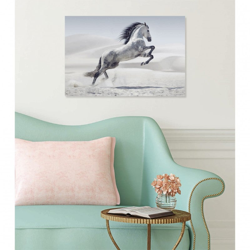 Tableau verre acrylique Cheval Dans Le Désert 60 x 40 cm - Décoration ...