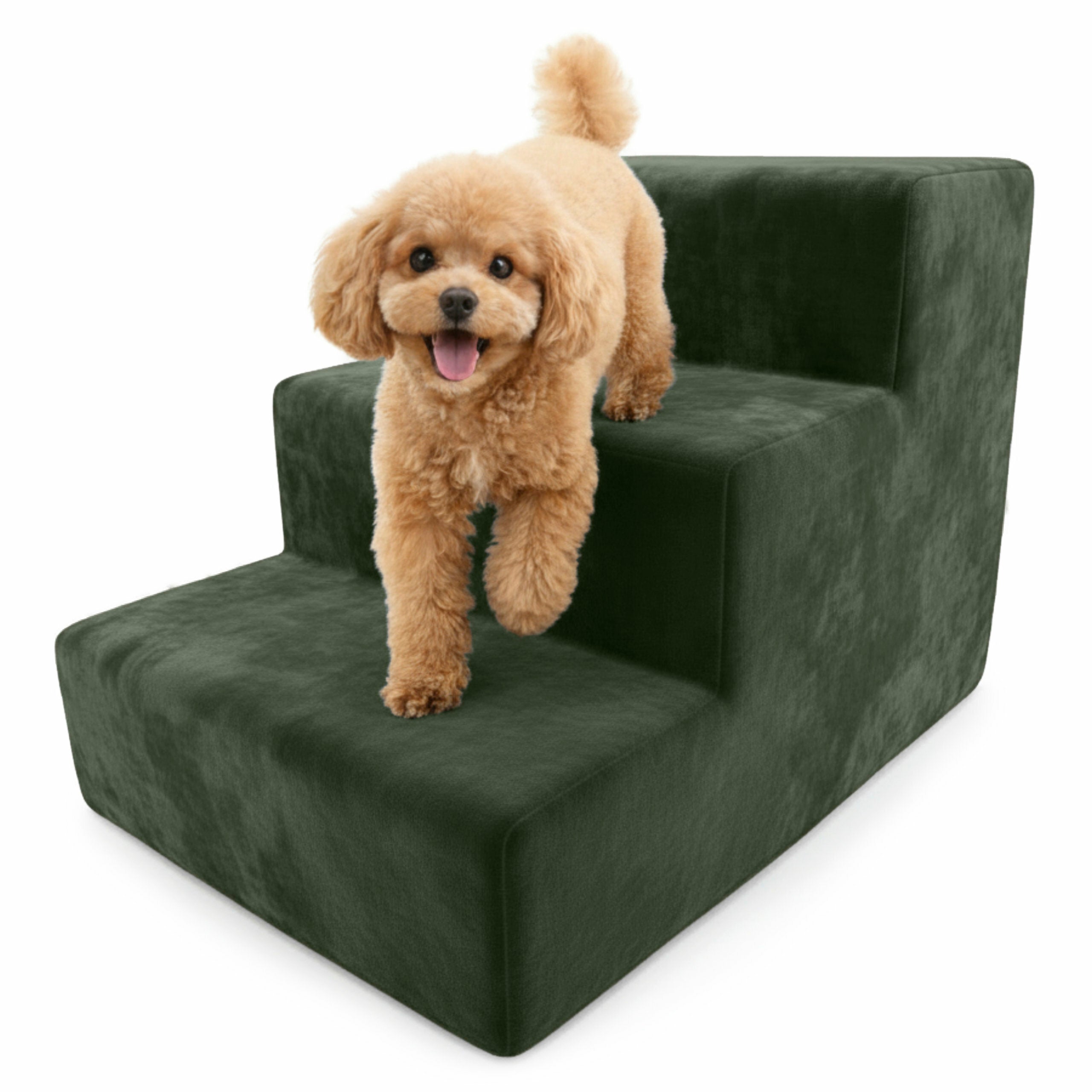Escaliers pour Chiens et Chats Muralo - Rampe pour Animaux en Velours ...