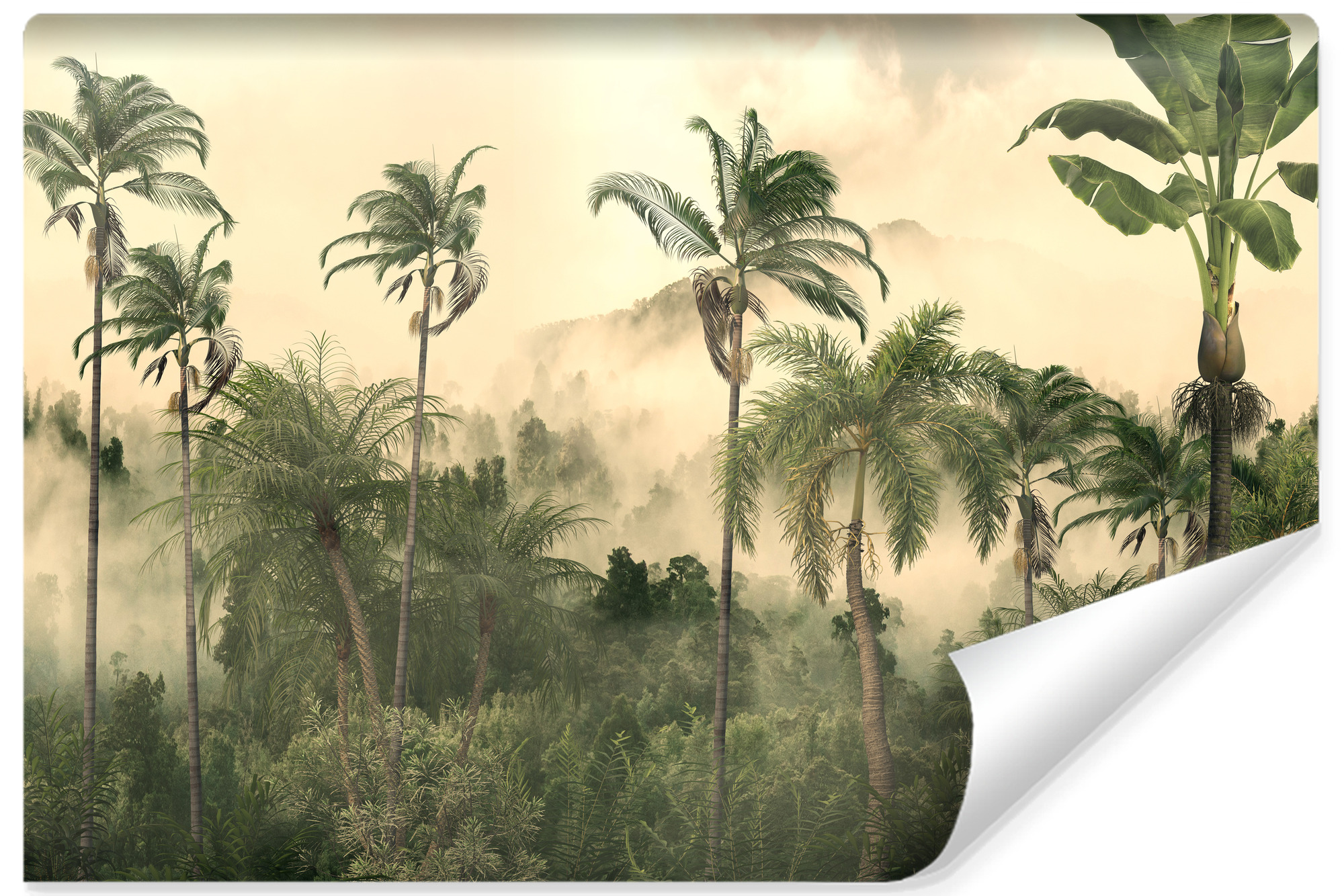 Papier Peint Intissé Photo PLANTES Palmier Feuilles Pour Salon 520cm x ...