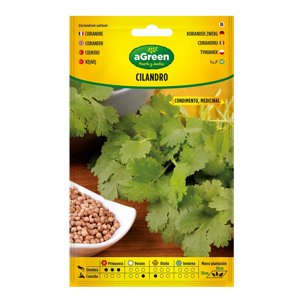 Sobre semillas Cilantro Coriandrum sativum - AGREEN - 06461 | Leroy Merlin