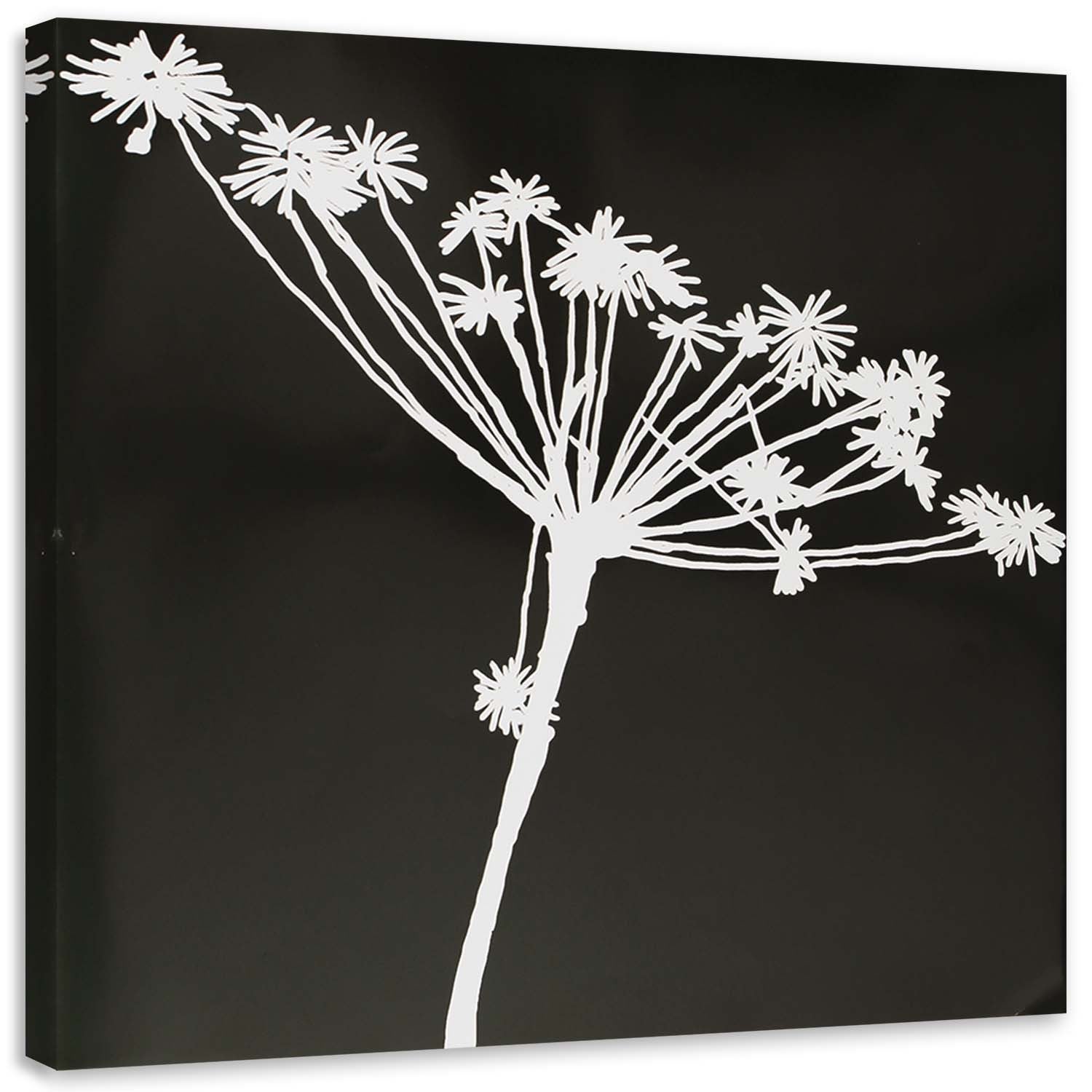 Tableau sur toile Fleur Noir & Blanc Naturel 60x60 | Leroy Merlin