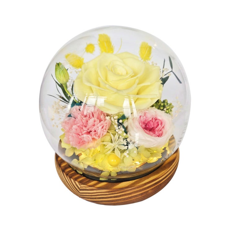 Fleurs stabilisées sous cloche en verre, cadeau pour petite amie/épouse ...