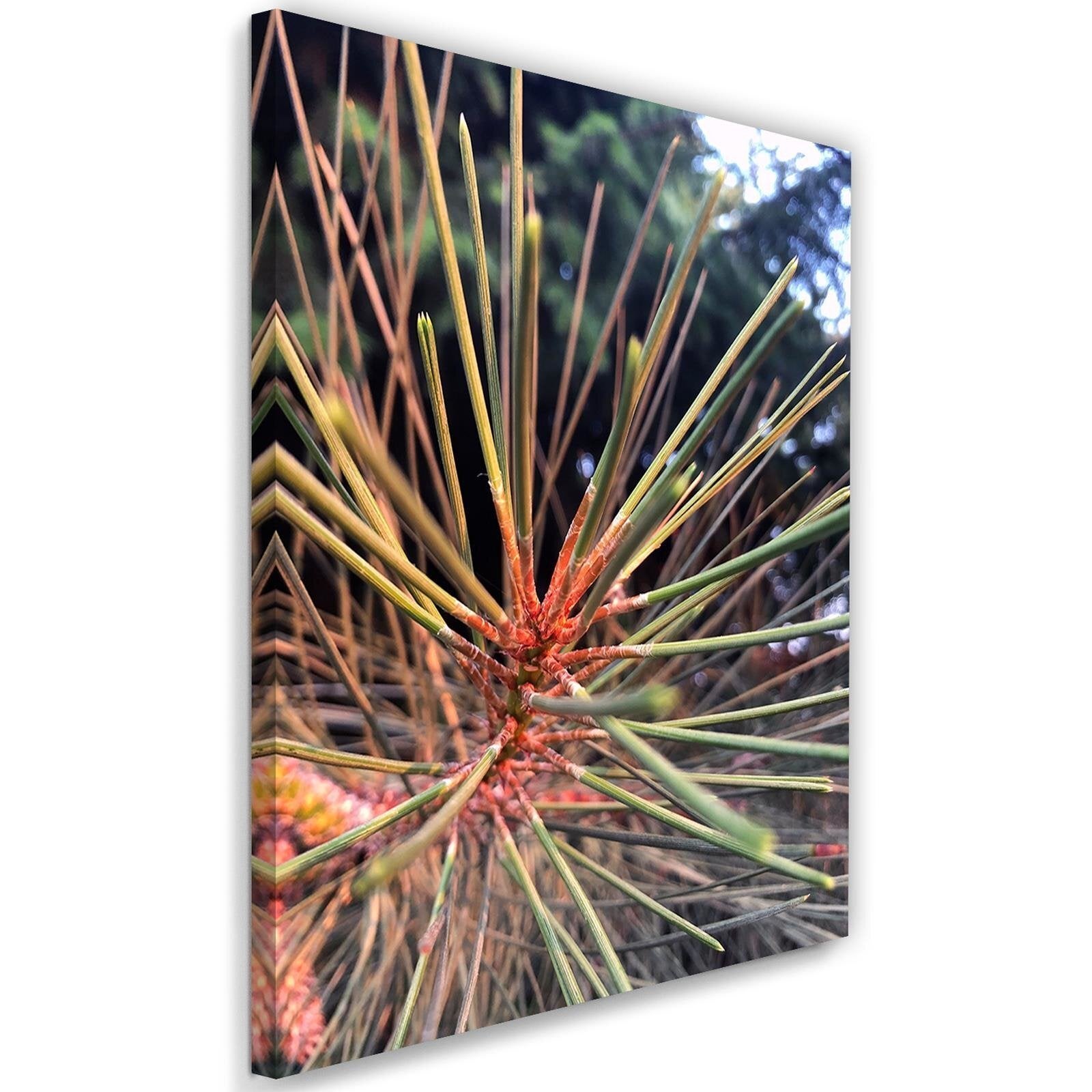 Tableau aiguilles de pin - 60 x 90 cm | Leroy Merlin