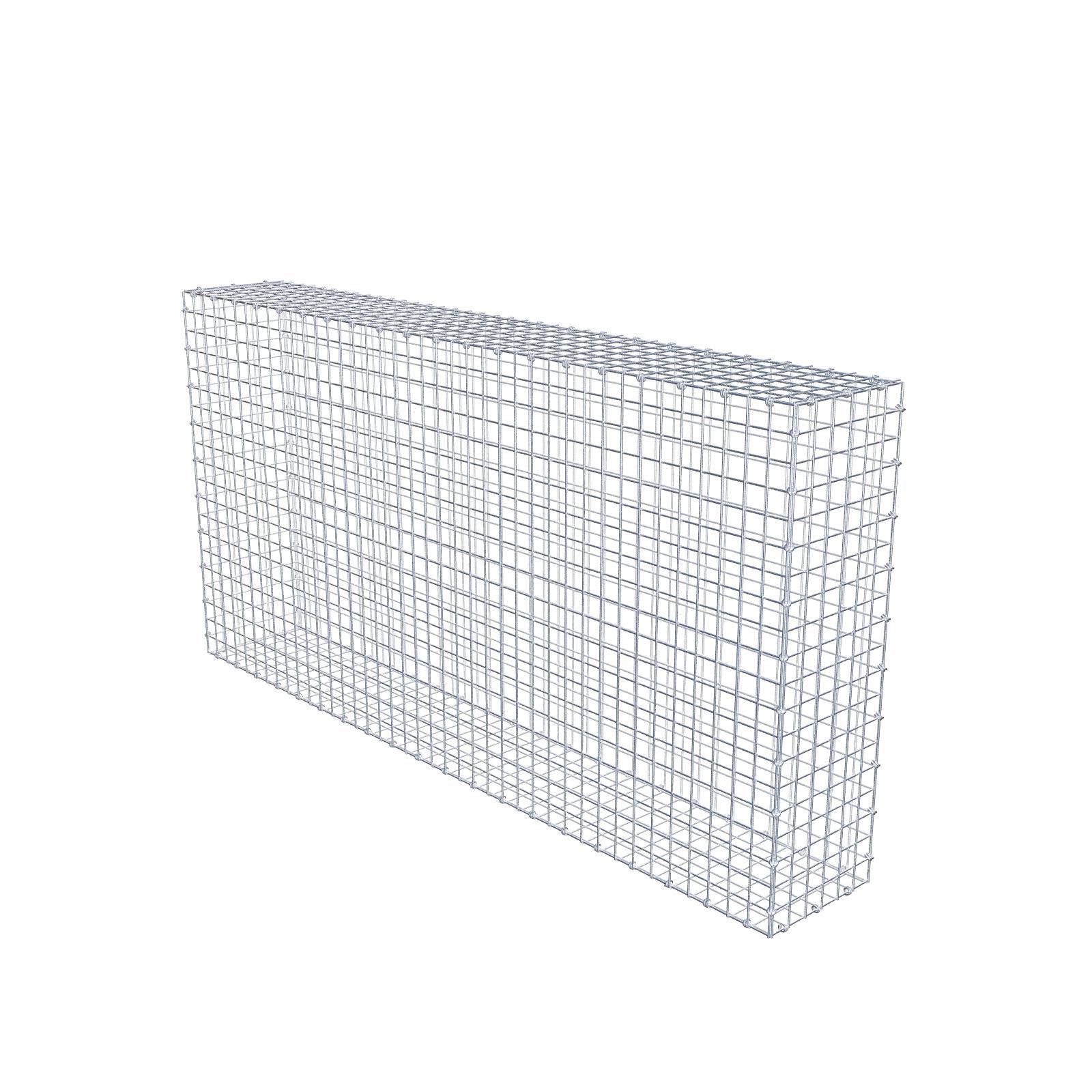 Gabiona - Gabion 200 cm x 100 cm x 30 cm (L x H x P), Taille des mailles 5 x 5 cm, Anneau ...