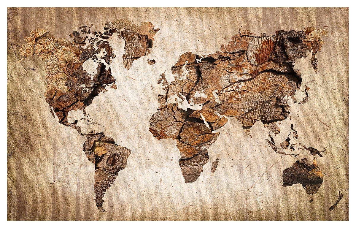 Cartel mapa del mundo color madera - 60x40cm - made in France | Leroy ...