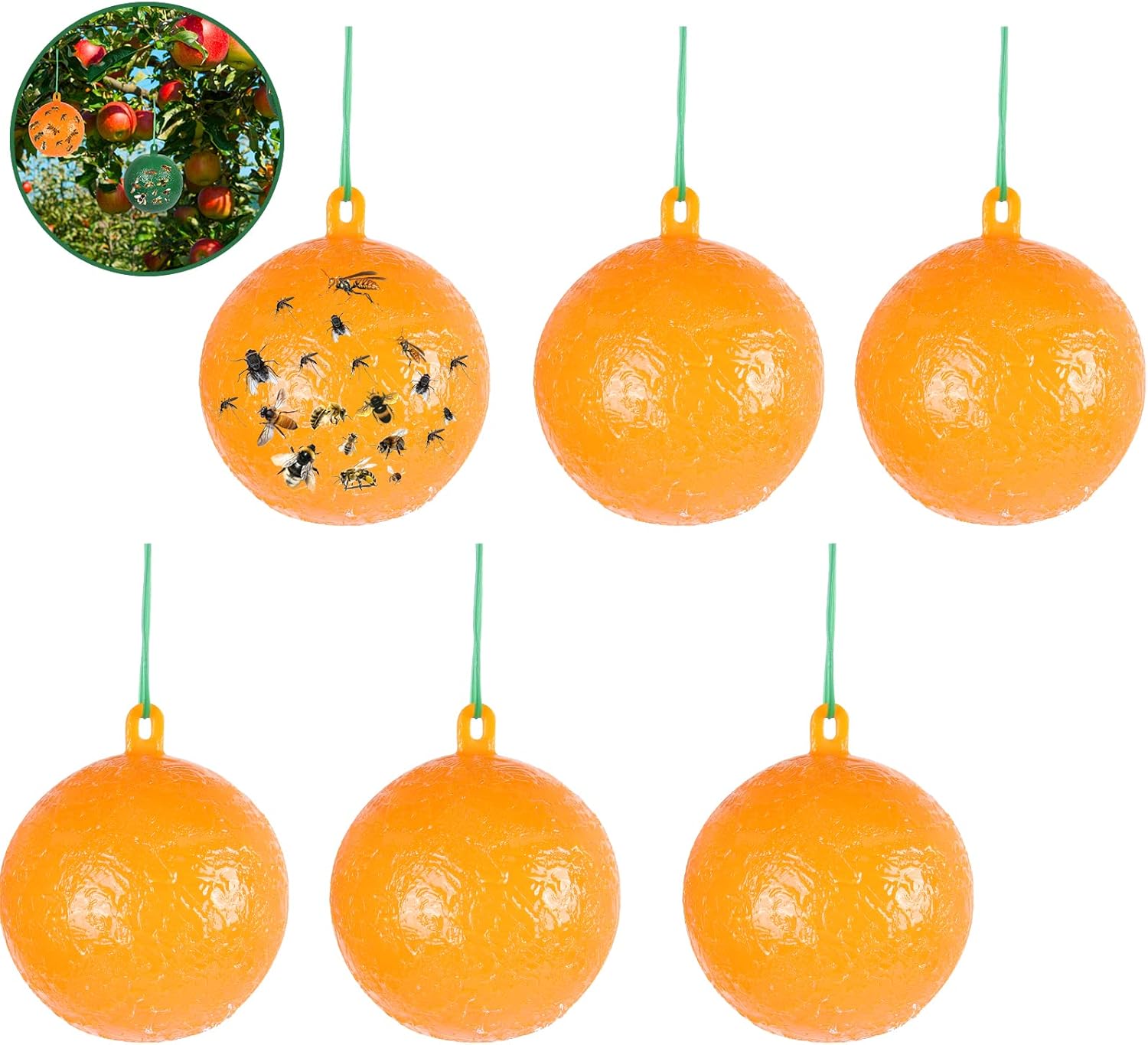 6Pcs (Jaune) Piège à Mouches des Fruits, Pièges à Insectes Volants ...