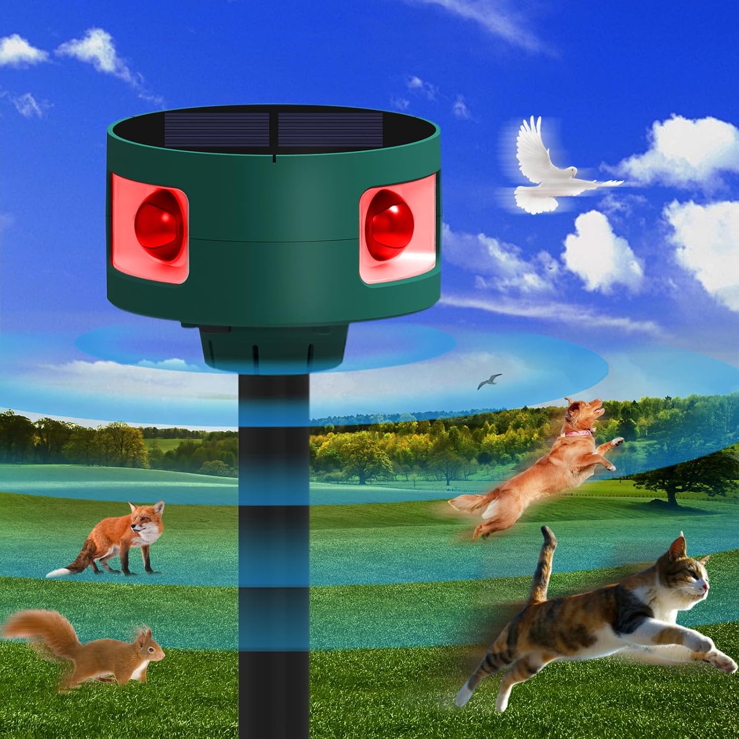 Répulsif Chat Extérieur-Répulsif Ultrason pour Chat Solaire Répulsif ...