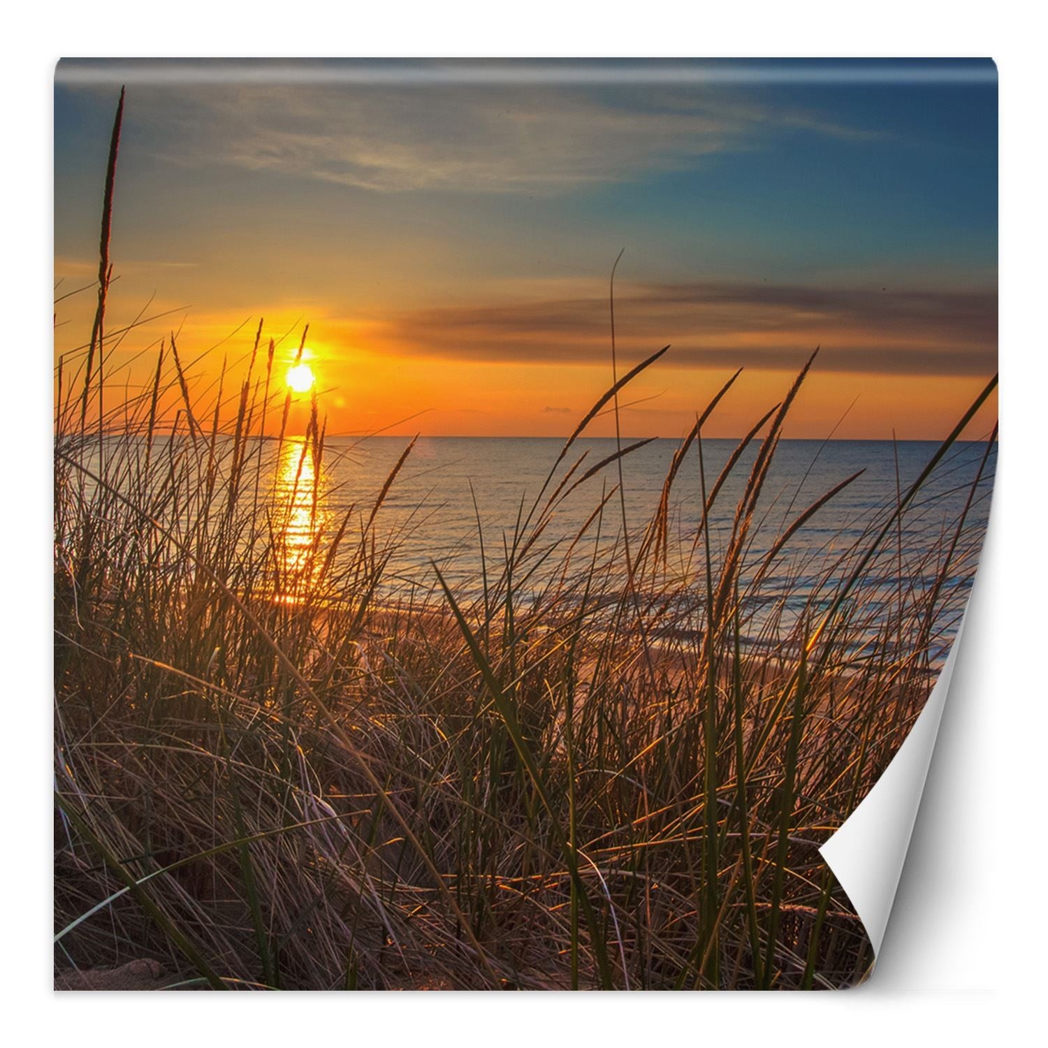 Papier peint mural, Coucher de soleil sur la mer - 150x150 | Leroy Merlin