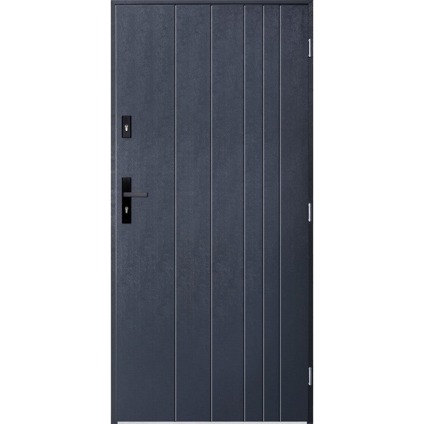 Porte d'entrée simple GUTA 80 cm anthracite - Sans Poignée et serrure ...