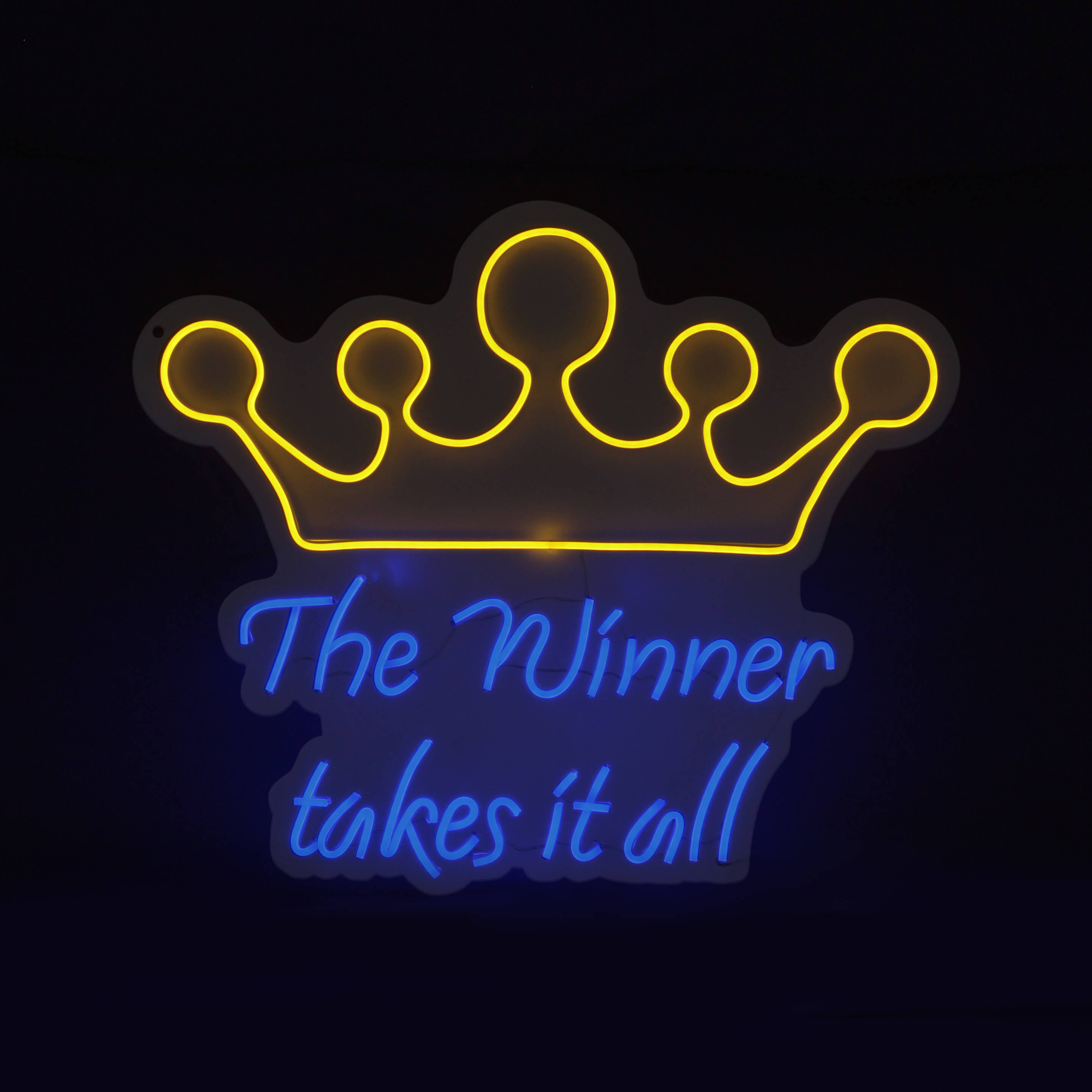 ADM - Letreros led 'The winnet takes it all' | Leroy Merlin