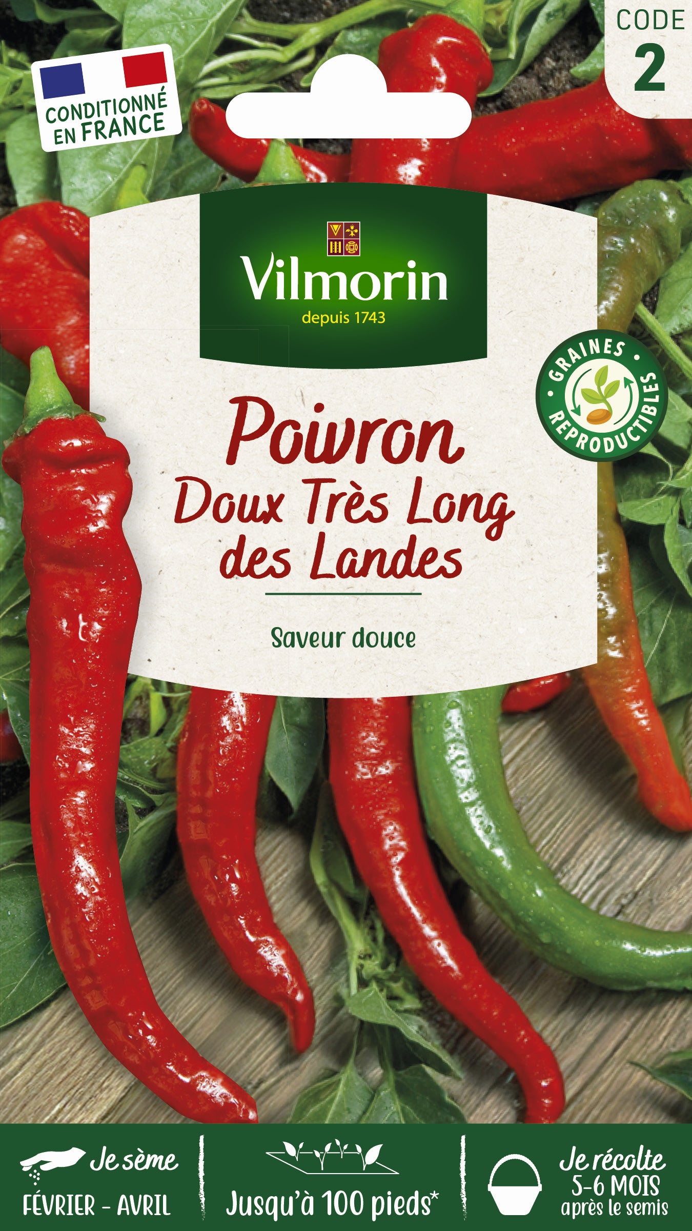 Poivron Doux Long des Landes | Leroy Merlin