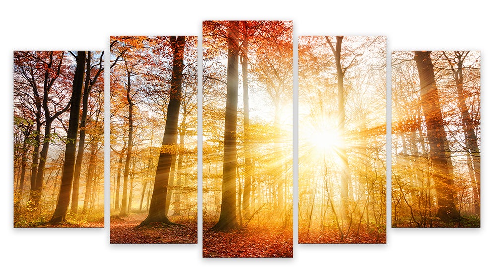 Tableau coucher soleil en forêt , 150x80cm | Leroy Merlin