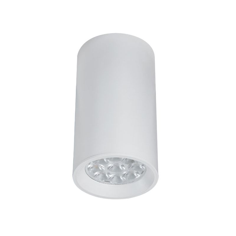 Plafonnier D63 Pour Ampoule LED GU10 Blanc Mat ZAMBELIS S002 | Leroy Merlin