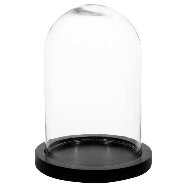 Cloche en verre au meilleur prix | Leroy Merlin