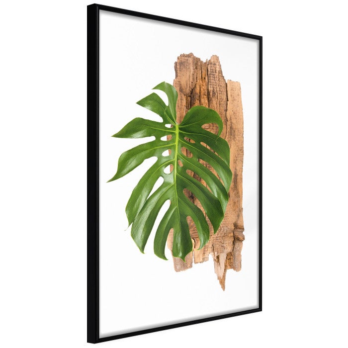 Affiche Murale Encadrée "Leafy Etude" 30 x 42 cm Noir | Leroy Merlin