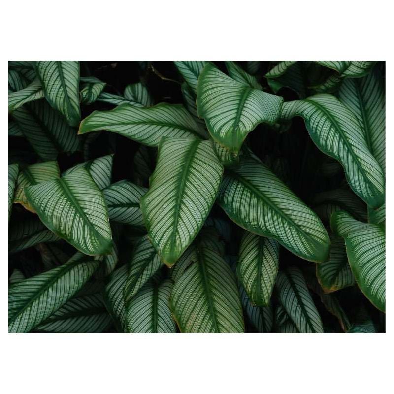 Tableau toile en kit GEOMETRIE VERTE 180 x 130 cm - Toile textile sans ...