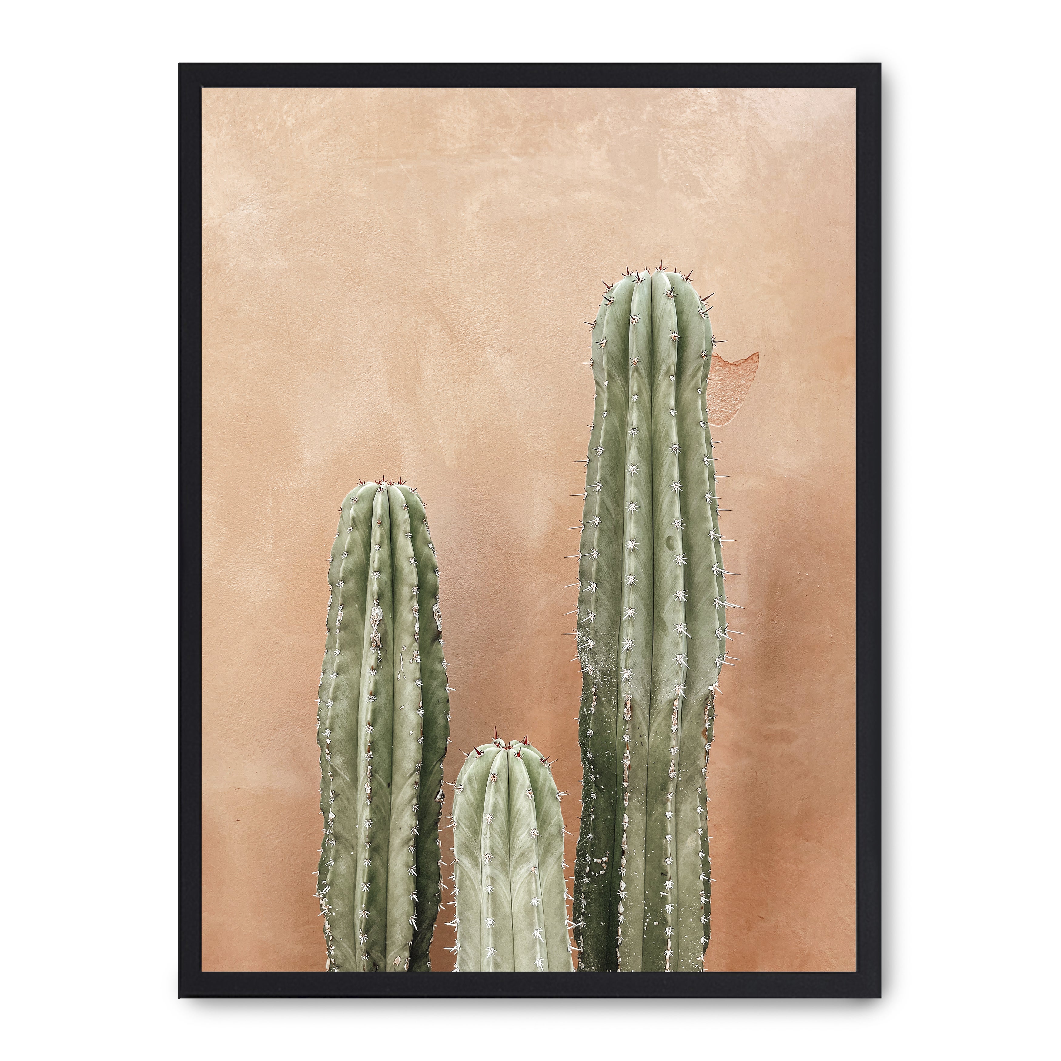 Cuadro Cactus terracotta bac, marco negro, 30x40 cm | Leroy Merlin