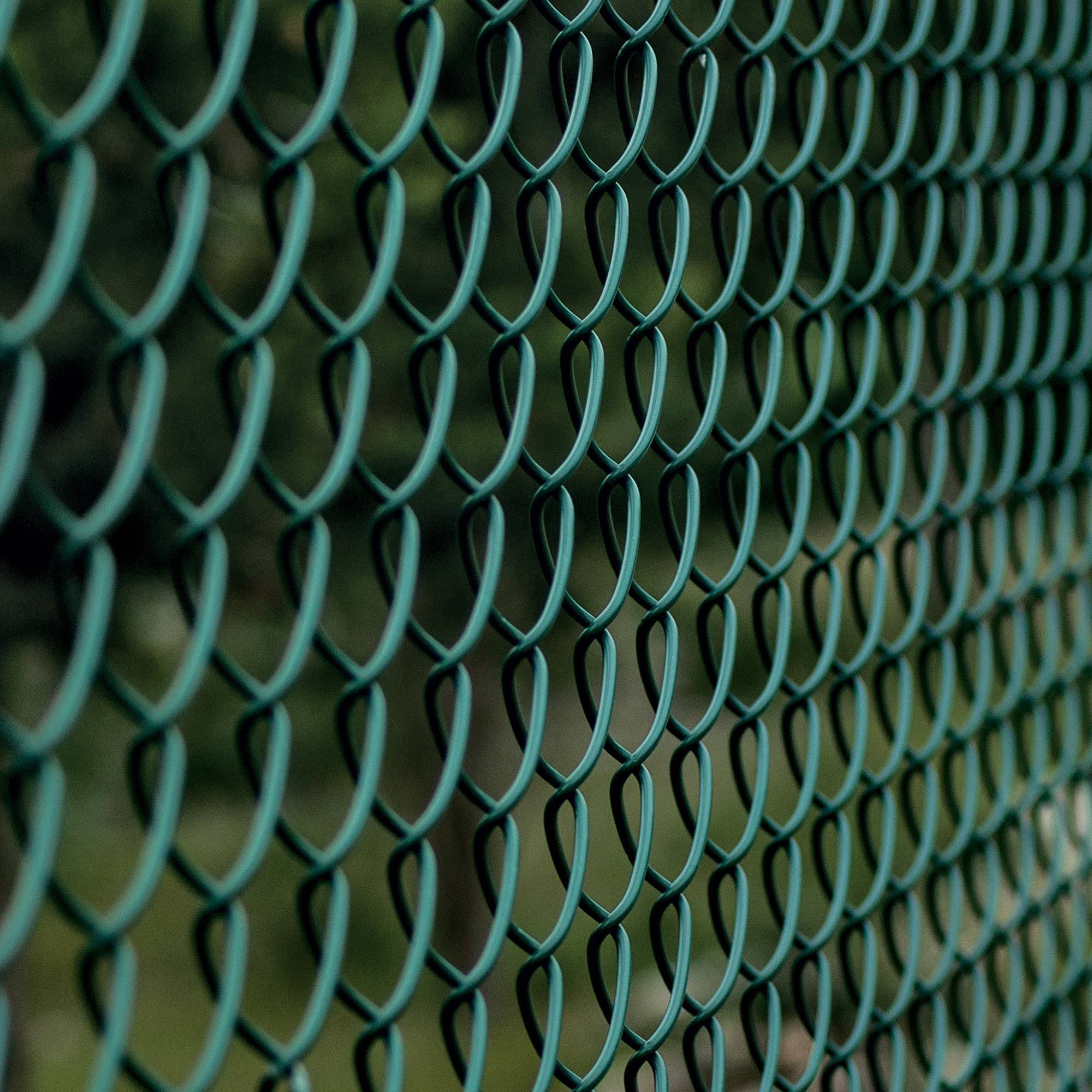 Grillage maille losange 10 m Werka Pro 1,8 m | Leroy Merlin