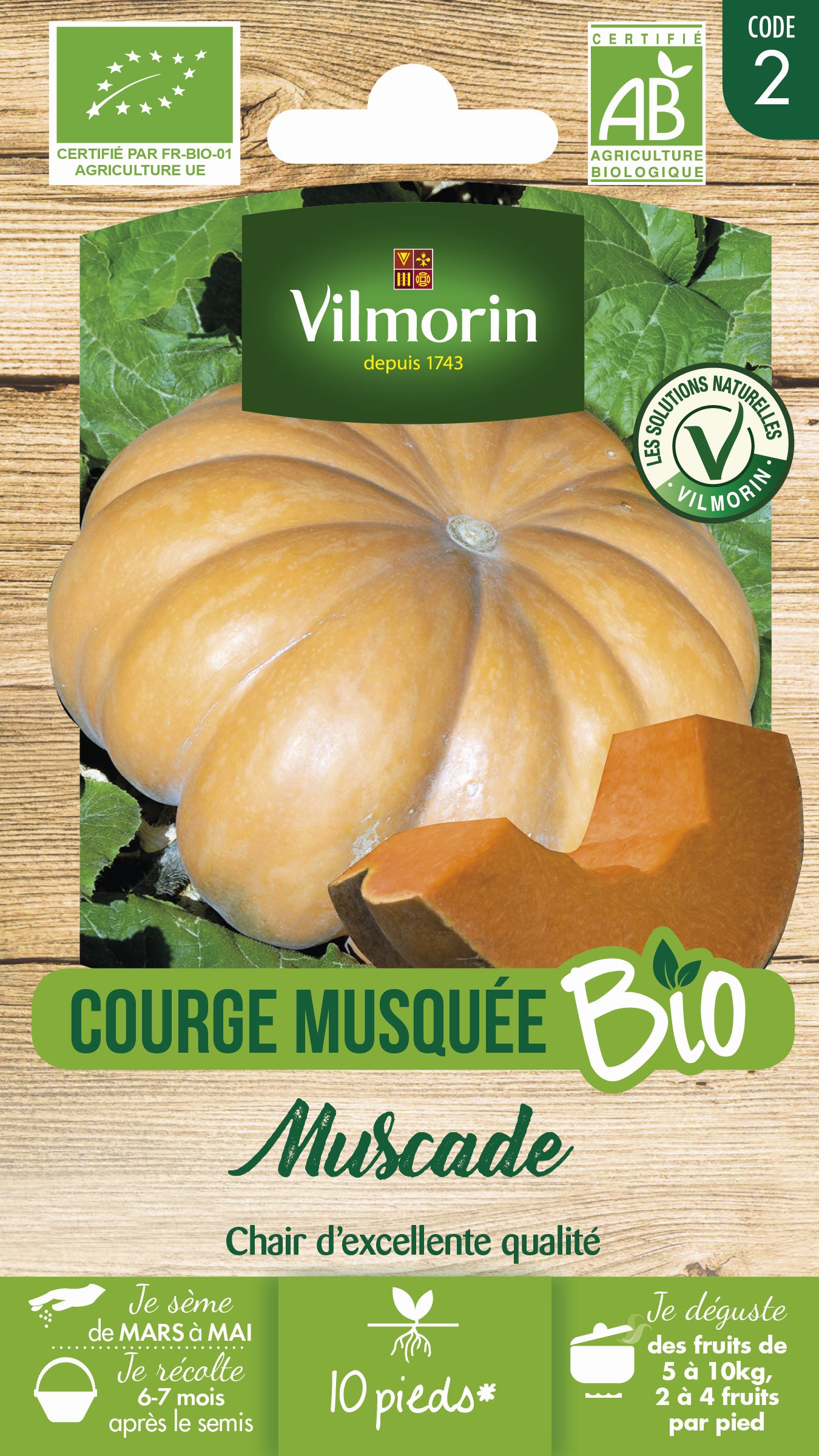 Courge Musquée Muscade - BIO | Leroy Merlin