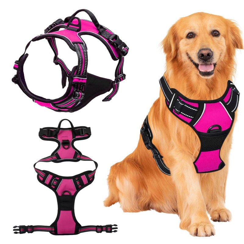 Harnais pour chien , harnais poitrine anti-traction, harnais de ...