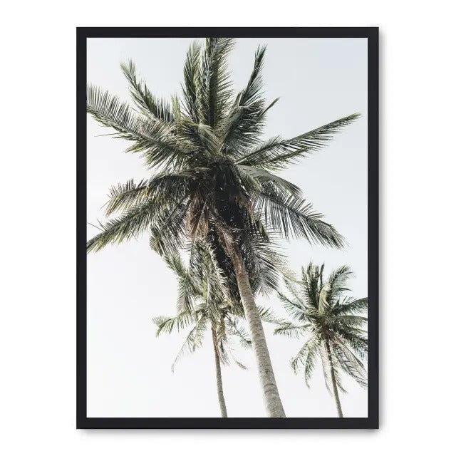 Tableau Palmiers d'en bas ii | Leroy Merlin