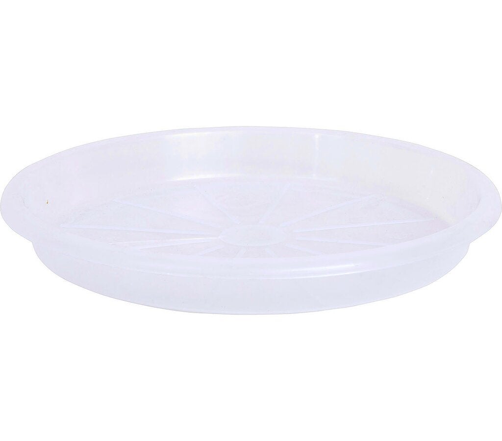 PLATO PLÁSTICO SIENA TRANSPARENTE 25CM | Leroy Merlin