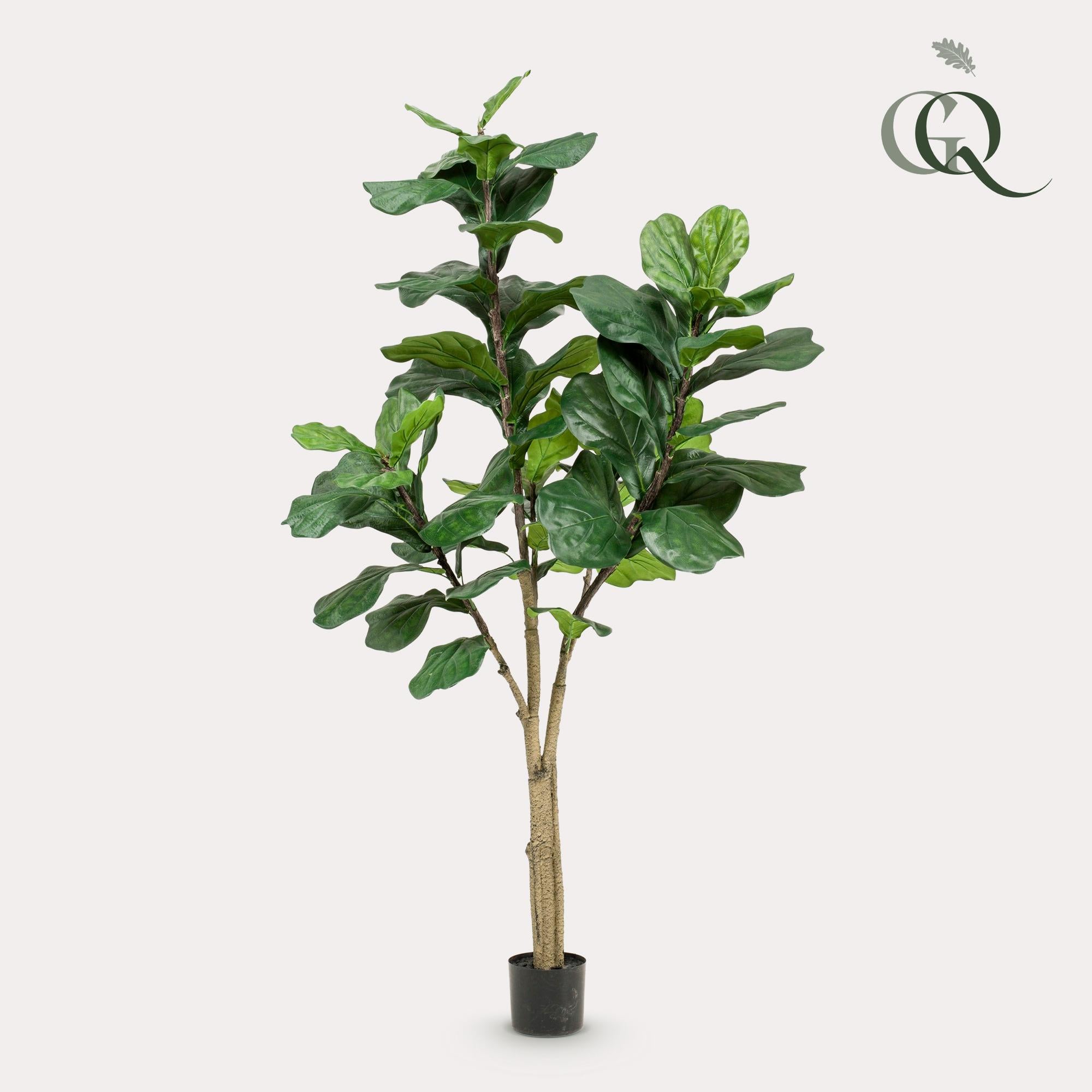 Ficus Lyrata artificial 180 cm – Tabaksplant realista para interiores ...