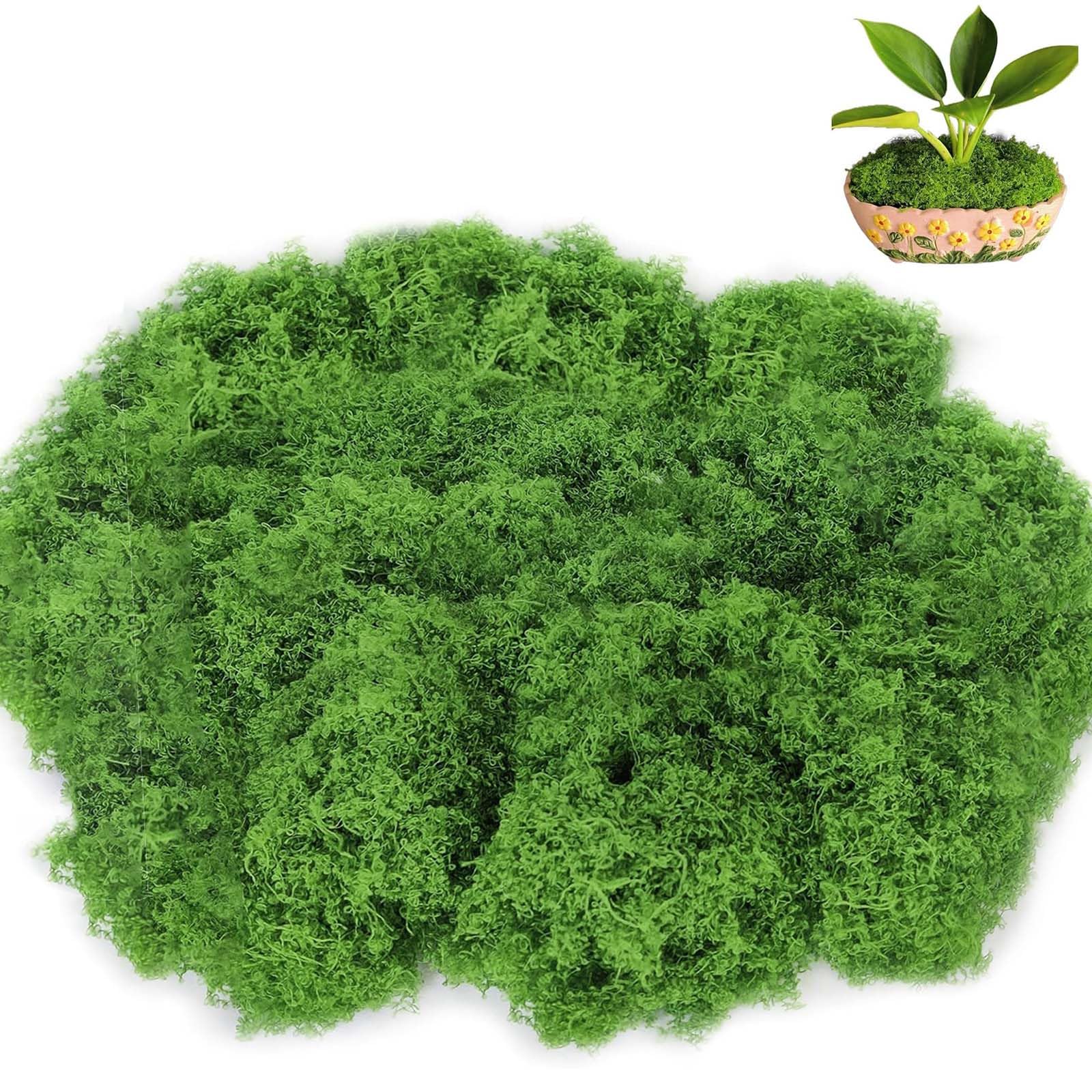 Mousse 200g, mousse artificielle, décoration en mousse, plantes ...